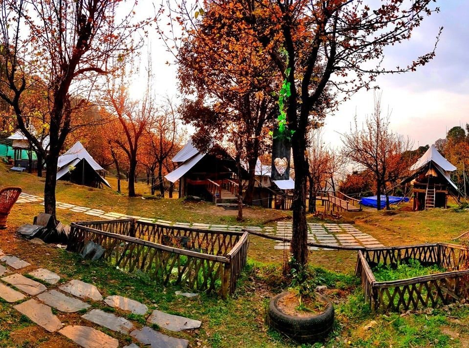 Camping in Bir Billing - Travel Bir Billing - Adventure in Bir ...